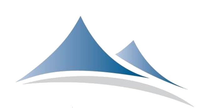 VSP
